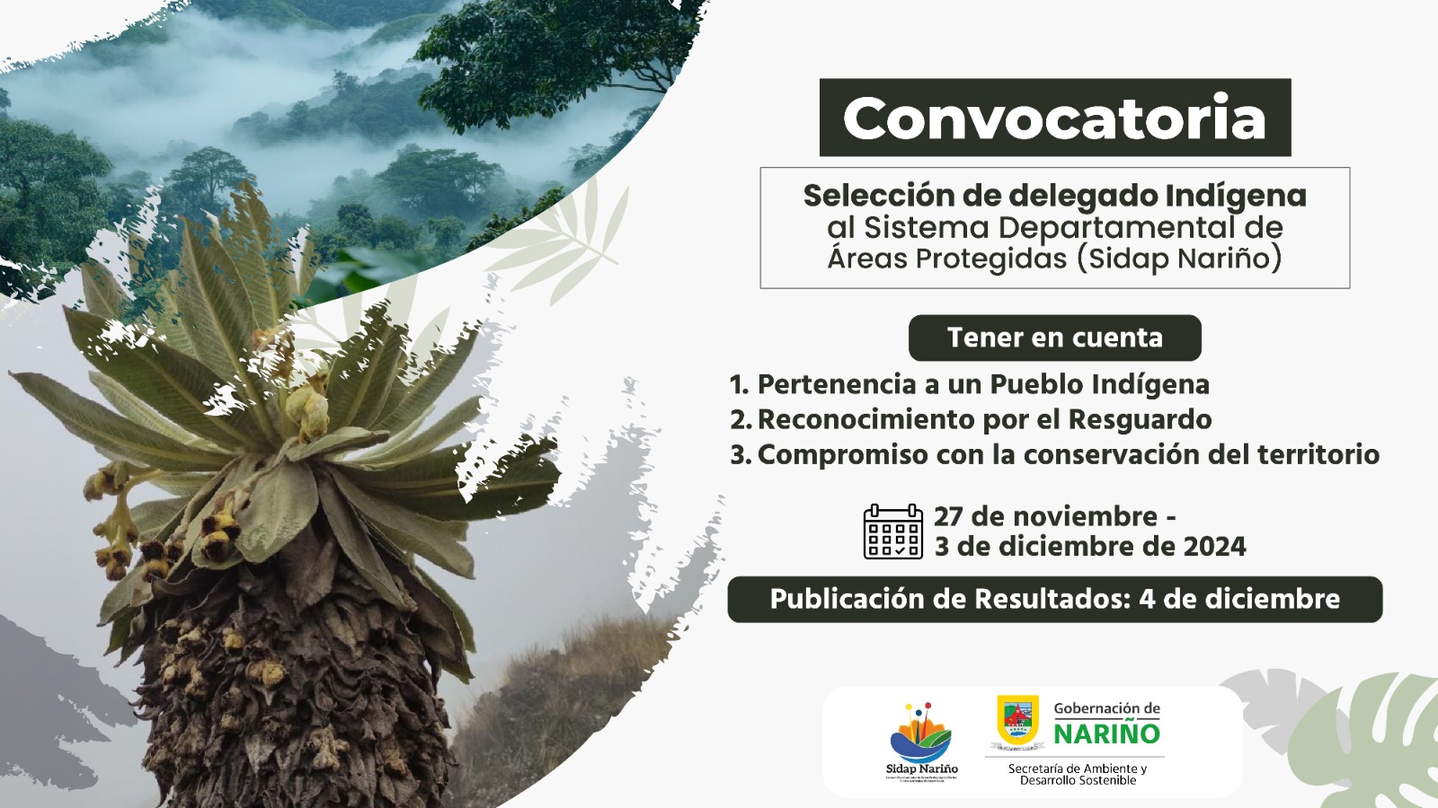 Convocatoria para Representante Indígena en el SIDAP Nariño ...